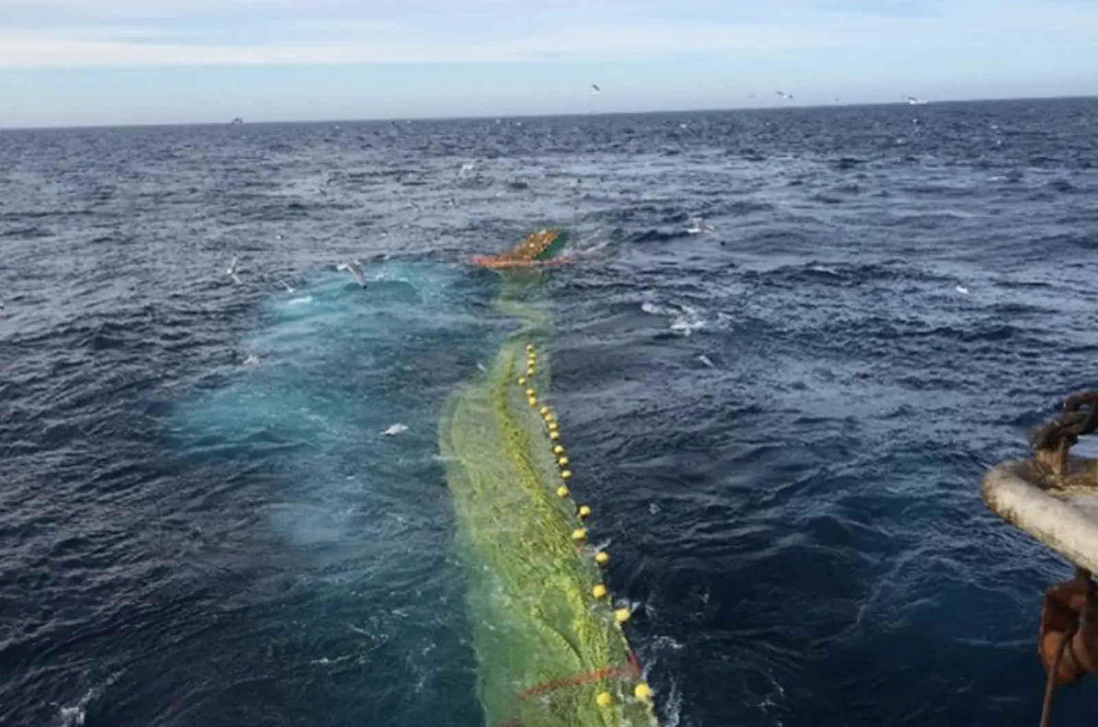 Equipment for commercial fishing | Greenline Fishing Gear